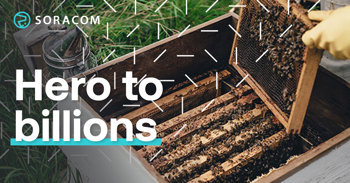 BeeHero | Soracom