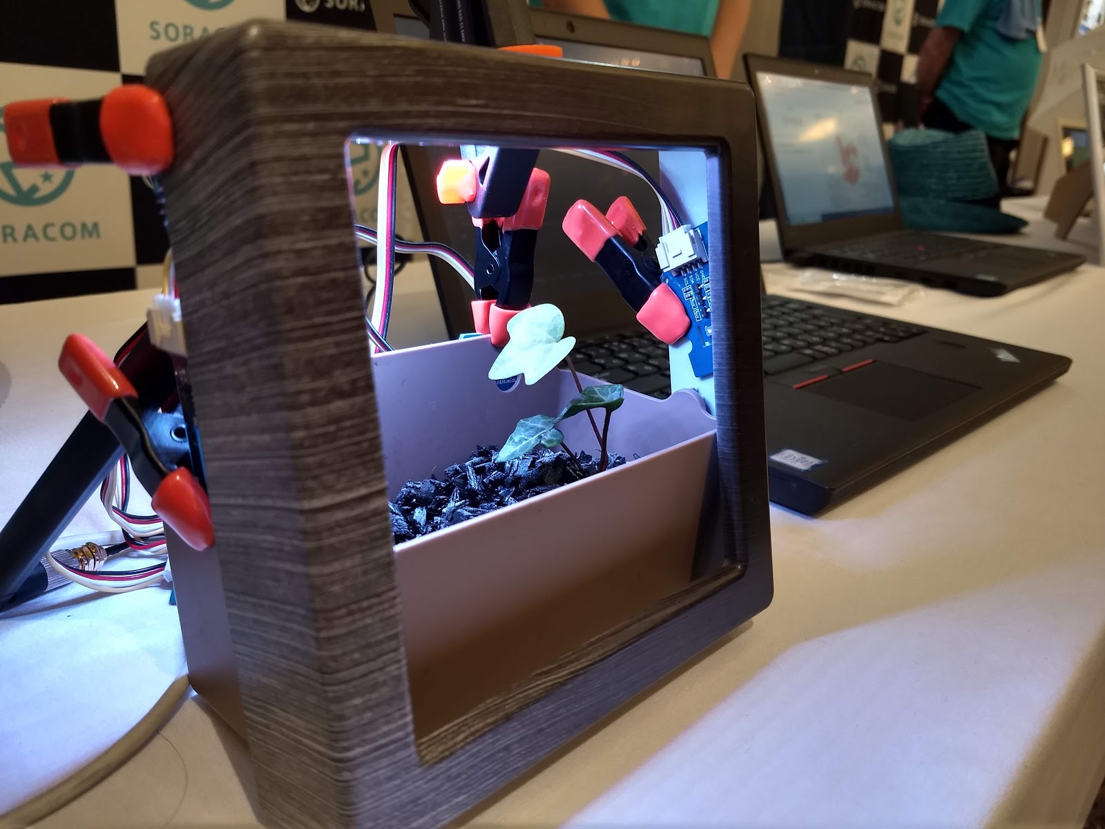 IoT Prototyping Series: Building an IoT Plant Cultivation System Pt. 1 ...