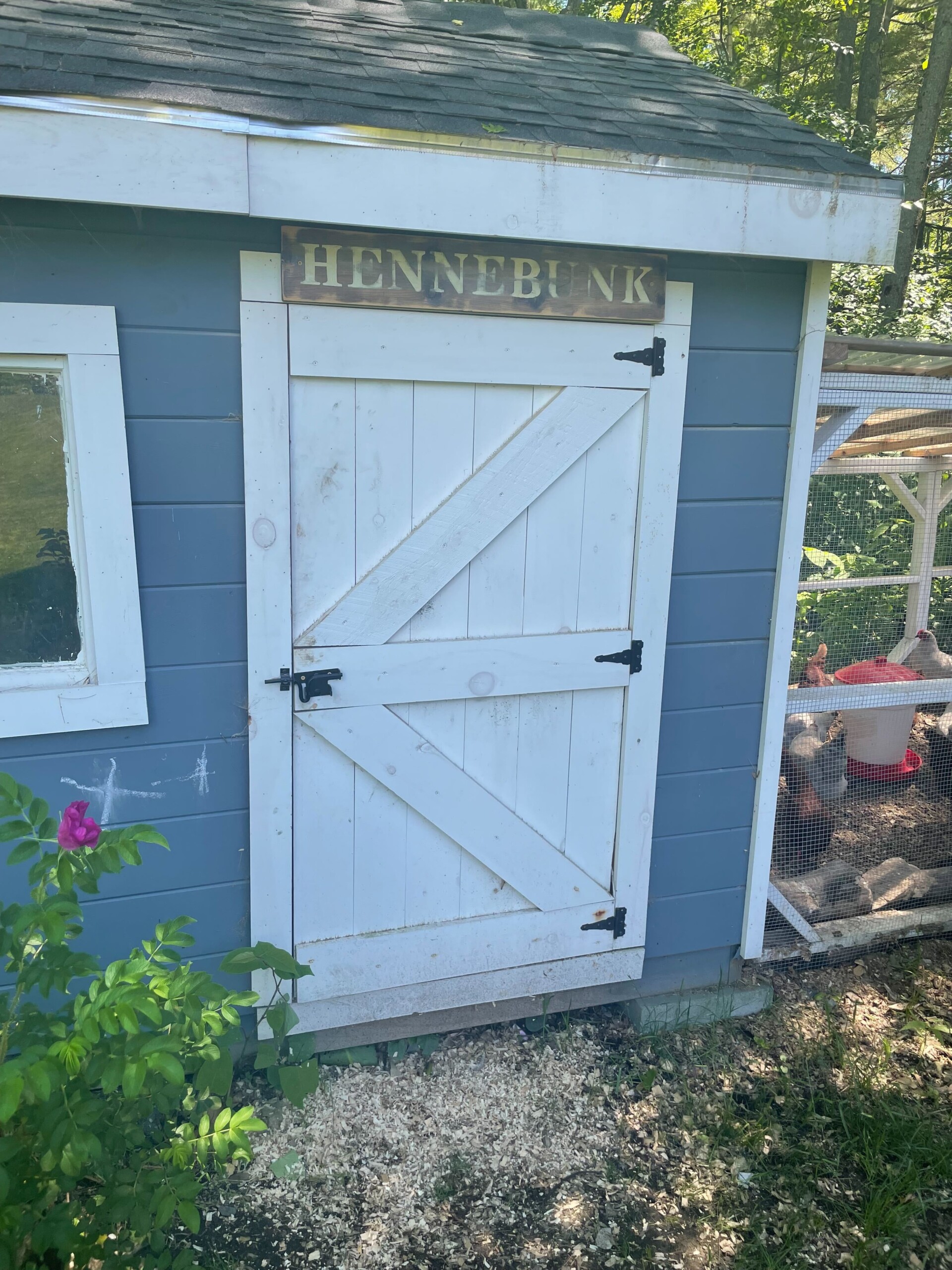 Smart AG: Using IoT to Build a Better Chicken Coop | Soracom